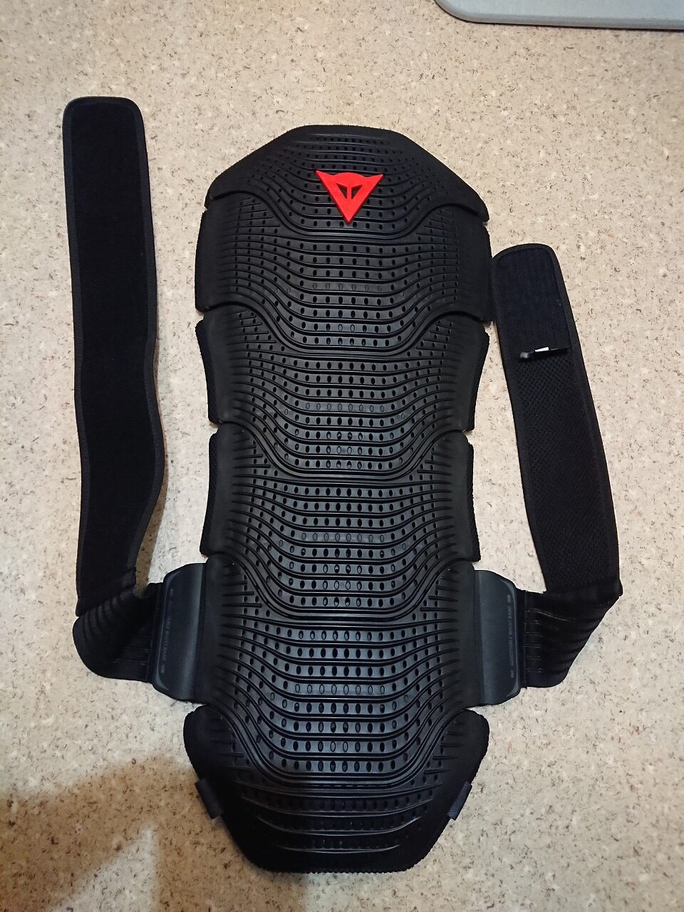 DAINESE PRO ARMOR BACK Protector への更新 - D-EVO